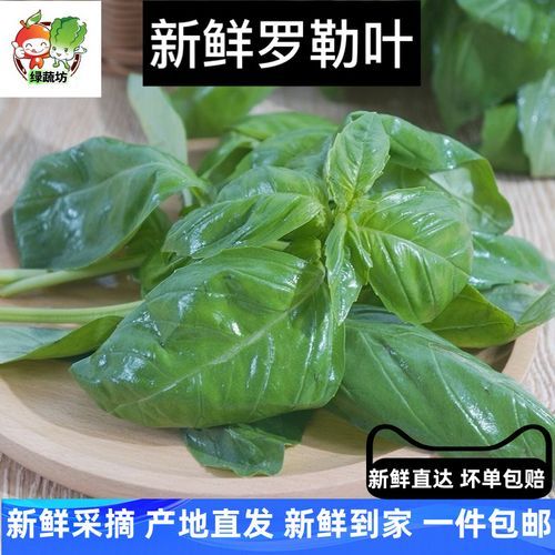 新鲜罗勒叶怎么吃_罗勒叶的做法大全-第2张图片-山城妙识 新鲜罗勒叶怎么吃_罗勒叶的做法大全-第2张图片-山城妙识