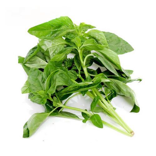 新鲜罗勒叶怎么吃_罗勒叶的做法大全-第1张图片-山城妙识 新鲜罗勒叶怎么吃_罗勒叶的做法大全-第1张图片-山城妙识