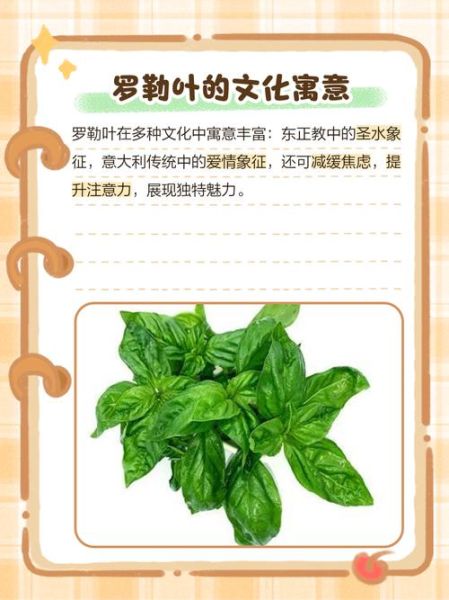 新鲜罗勒叶怎么吃_罗勒叶的做法大全-第3张图片-山城妙识 新鲜罗勒叶怎么吃_罗勒叶的做法大全-第3张图片-山城妙识