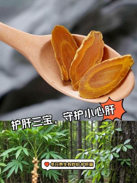 护肝食物三宝是什么_怎么吃效果最好-第2张图片-山城妙识 护肝食物三宝是什么_怎么吃效果最好-第2张图片-山城妙识