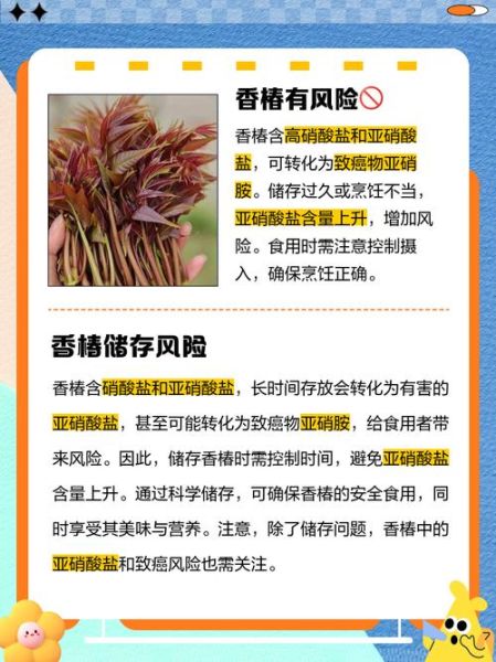 香椿没焯水吃了会中毒吗_香椿中毒症状-第1张图片-山城妙识 香椿没焯水吃了会中毒吗_香椿中毒症状-第1张图片-山城妙识