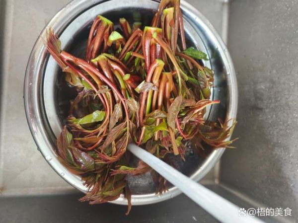 香椿没焯水吃了会中毒吗_香椿中毒症状-第3张图片-山城妙识 香椿没焯水吃了会中毒吗_香椿中毒症状-第3张图片-山城妙识