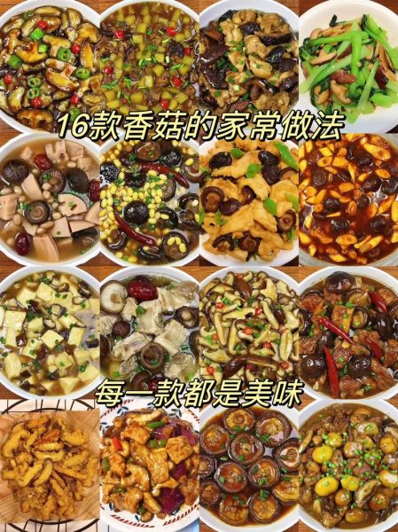 香菇的食疗价值有哪些_香菇怎么吃最养生-第2张图片-山城妙识 香菇的食疗价值有哪些_香菇怎么吃最养生-第2张图片-山城妙识