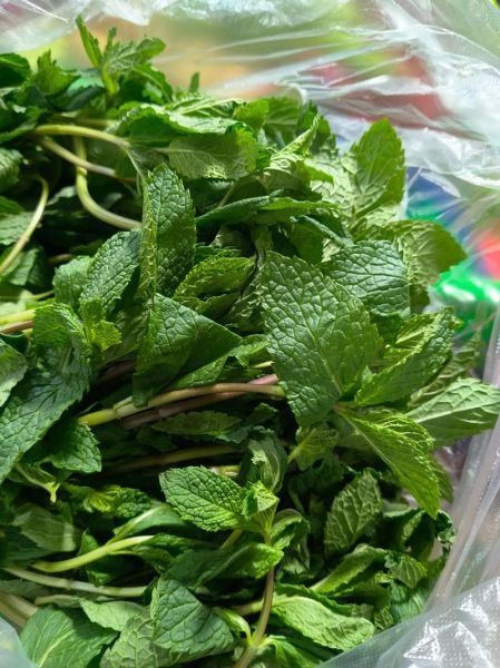 薄荷叶图片大全_如何辨别新鲜薄荷叶-第2张图片-山城妙识 薄荷叶图片大全_如何辨别新鲜薄荷叶-第2张图片-山城妙识