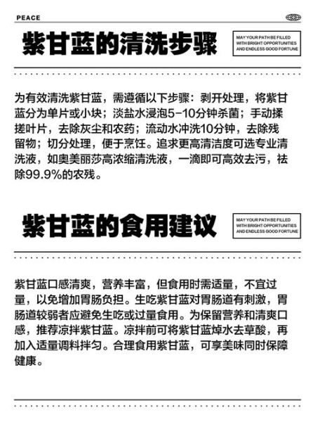 紫甘蓝生吃要不要烫_生吃紫甘蓝怎么洗才安全-第1张图片-山城妙识 紫甘蓝生吃要不要烫_生吃紫甘蓝怎么洗才安全-第1张图片-山城妙识