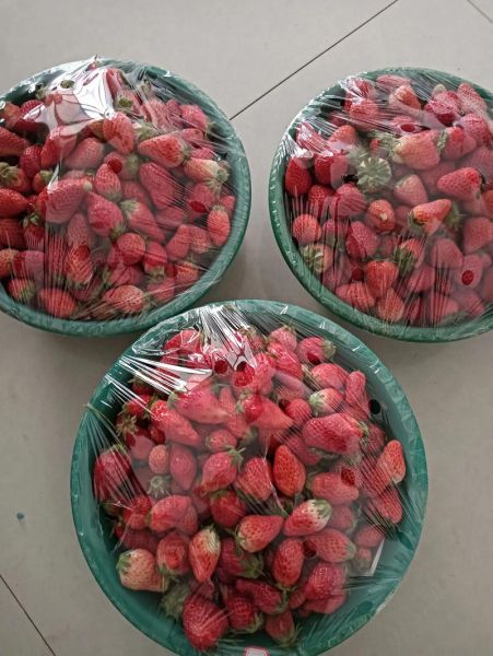 草莓酱可以放多久_自制草莓酱保质期多久-第3张图片-山城妙识 草莓酱可以放多久_自制草莓酱保质期多久-第3张图片-山城妙识