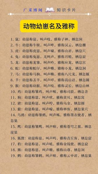 动物大全名字有哪些_动物大全名字怎么取-第1张图片-山城妙识