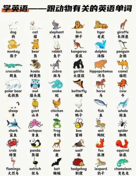动物大全名字有哪些_动物大全名字怎么取-第2张图片-山城妙识