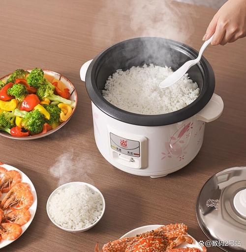 电饭锅蒸饭菜要多久_电饭锅蒸饭菜怎么蒸-第2张图片-山城妙识