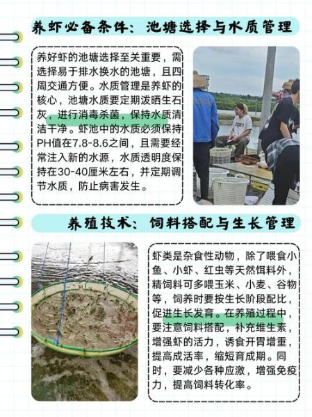 草虾养殖需要什么条件_草虾养殖水质要求-第2张图片-山城妙识