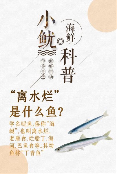 鲦鱼的诅咒是什么_如何避免鲦鱼效应-第2张图片-山城妙识