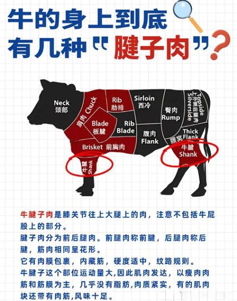 腱子肉什么意思_腱子肉是哪个部位-第2张图片-山城妙识