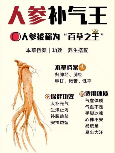 人参的正确吃法与功效_人参怎么吃效果最好-第3张图片-山城妙识