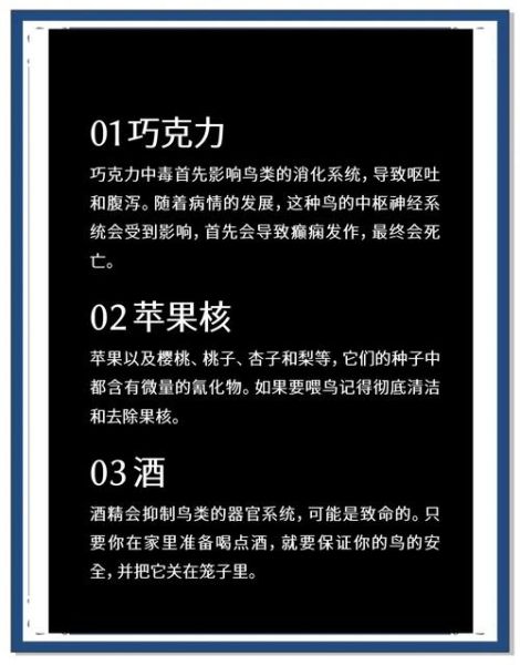 鹦鹉吃什么_鹦鹉不能吃什么-第1张图片-山城妙识 鹦鹉吃什么_鹦鹉不能吃什么-第1张图片-山城妙识