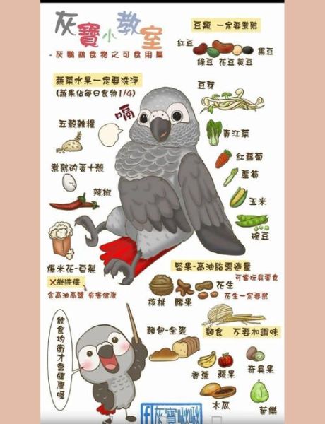 鹦鹉吃什么_鹦鹉不能吃什么-第2张图片-山城妙识 鹦鹉吃什么_鹦鹉不能吃什么-第2张图片-山城妙识