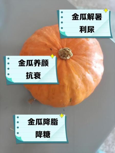 金丝瓜的功效与作用_金丝瓜怎么吃最好-第3张图片-山城妙识