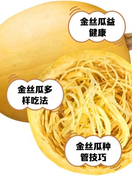 金丝瓜的功效与作用_金丝瓜怎么吃最好-第1张图片-山城妙识