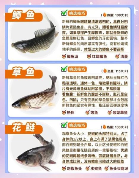 海鲜批发价格哪里便宜_如何挑选新鲜海鲜-第2张图片-山城妙识 海鲜批发价格哪里便宜_如何挑选新鲜海鲜-第2张图片-山城妙识