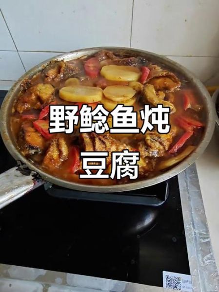 鲶鱼炖豆腐怎么炖_鲶鱼炖豆腐的家常做法-第3张图片-山城妙识 鲶鱼炖豆腐怎么炖_鲶鱼炖豆腐的家常做法-第3张图片-山城妙识