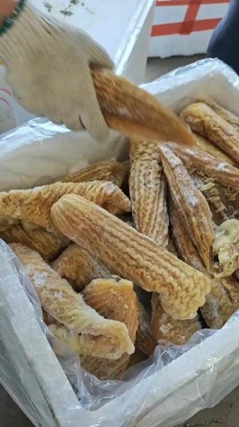 鱼肚多少钱一斤_鱼肚价格为什么这么贵-第1张图片-山城妙识 鱼肚多少钱一斤_鱼肚价格为什么这么贵-第1张图片-山城妙识