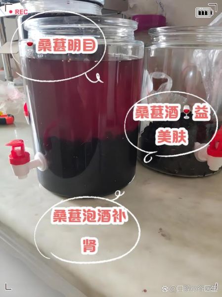 黑桑葚泡酒的功效与作用_黑桑葚泡酒怎么泡才正确-第2张图片-山城妙识 黑桑葚泡酒的功效与作用_黑桑葚泡酒怎么泡才正确-第2张图片-山城妙识