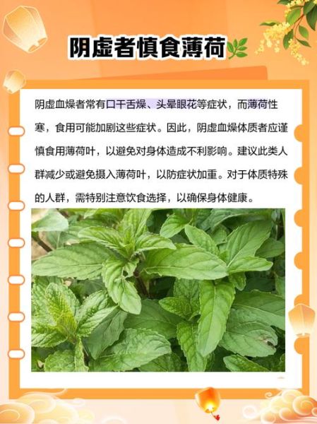 女人吃薄荷的坏处_经期能吃薄荷吗-第1张图片-山城妙识 女人吃薄荷的坏处_经期能吃薄荷吗-第1张图片-山城妙识