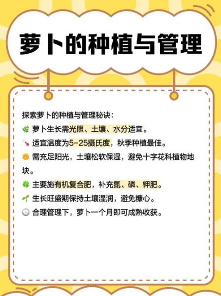 萝卜投资怎么样_萝卜投资风险大吗-第2张图片-山城妙识 萝卜投资怎么样_萝卜投资风险大吗-第2张图片-山城妙识