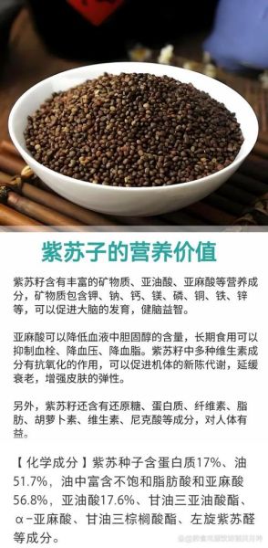 紫苏子能止咳吗_紫苏子怎么吃效果好-第3张图片-山城妙识 紫苏子能止咳吗_紫苏子怎么吃效果好-第3张图片-山城妙识