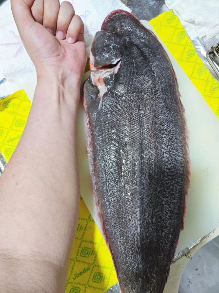 香煎龙利鱼怎么做_龙利鱼煎多久才嫩-第1张图片-山城妙识 香煎龙利鱼怎么做_龙利鱼煎多久才嫩-第1张图片-山城妙识