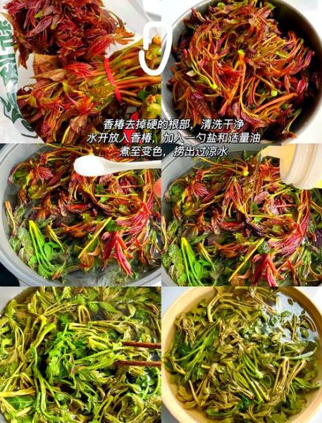 香椿芽怎么腌制_香椿芽腌制多久可以吃-第3张图片-山城妙识