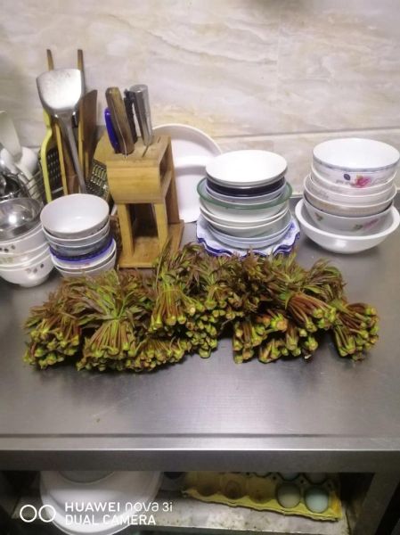 香椿芽怎么腌制_香椿芽腌制多久可以吃-第2张图片-山城妙识