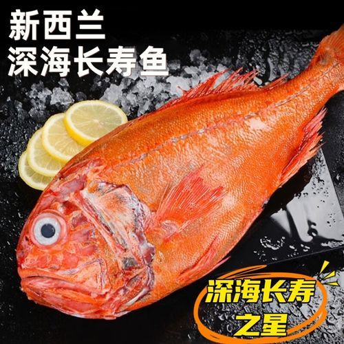 长寿鱼是什么鱼_长寿鱼图片怎么识别-第1张图片-山城妙识