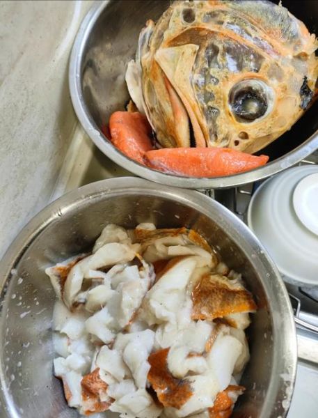 长寿鱼是什么鱼_长寿鱼图片怎么识别-第3张图片-山城妙识