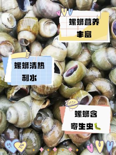 螺丝的功效与作用_螺丝为什么能紧固-第3张图片-山城妙识