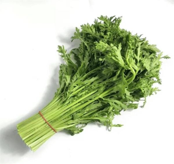 皇帝菜和茼蒿的区别_皇帝菜和茼蒿图片对比-第2张图片-山城妙识