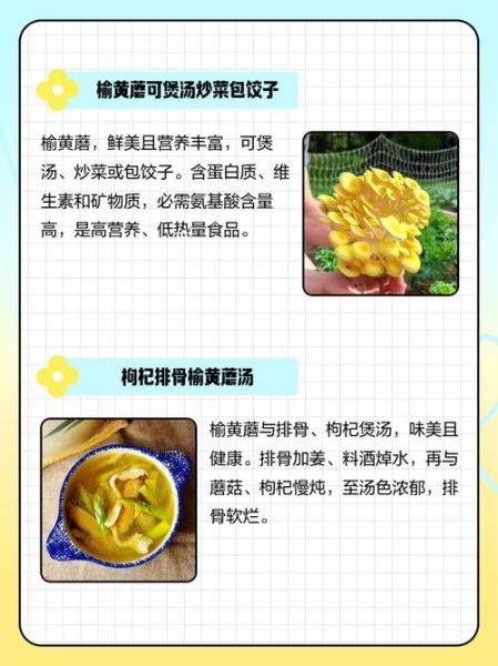 黄蘑菇的功效与作用_黄蘑菇怎么吃最营养-第1张图片-山城妙识