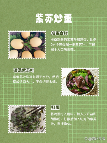 鲜紫苏叶怎么吃最好_鲜紫苏叶最佳吃法-第1张图片-山城妙识
