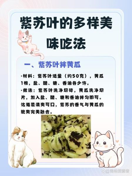 鲜紫苏叶怎么吃最好_鲜紫苏叶最佳吃法-第2张图片-山城妙识