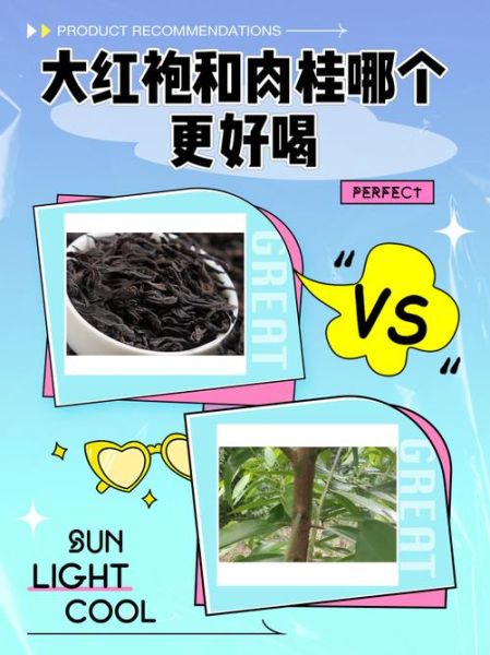 大红袍和肉桂的区别_哪个更好喝-第1张图片-山城妙识