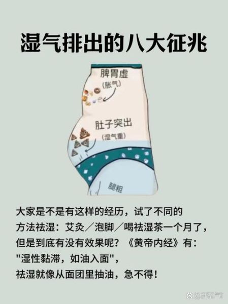 体内湿热怎么快速排出_七天排出十年湿热是真的吗-第3张图片-山城妙识 体内湿热怎么快速排出_七天排出十年湿热是真的吗-第3张图片-山城妙识