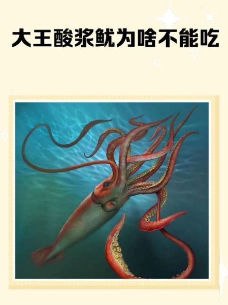 哪些人不适合吃鱿鱼_鱿鱼过敏人群有哪些-第3张图片-山城妙识