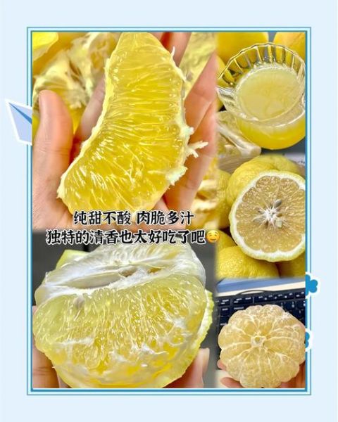 青柑橘的功效与作用_青柑橘怎么吃最好-第2张图片-山城妙识 青柑橘的功效与作用_青柑橘怎么吃最好-第2张图片-山城妙识