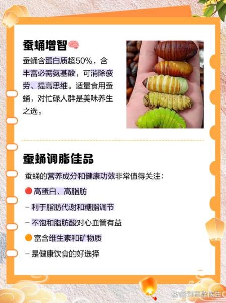 桑蚕蛹的功效与作用_桑蚕蛹怎么吃效果最好-第2张图片-山城妙识