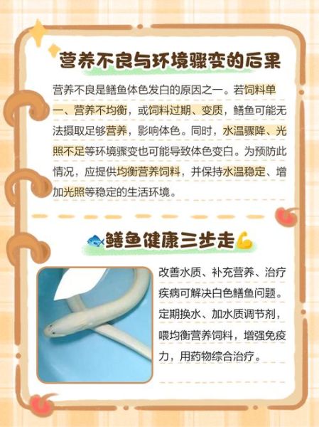 广东白鳝鱼多少钱一斤_白鳝鱼价格走势-第3张图片-山城妙识