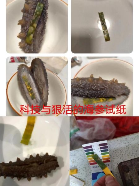 辽参多少钱一斤_辽参和海参的区别-第3张图片-山城妙识