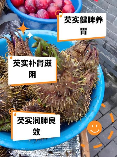 芡实产地哪里最好_芡实哪里的最正宗-第1张图片-山城妙识