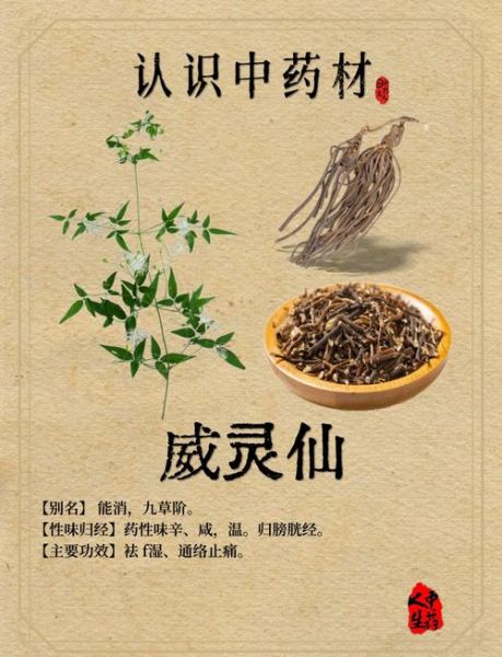 威灵仙治痛风最佳配方_痛风发作怎么快速止痛-第1张图片-山城妙识