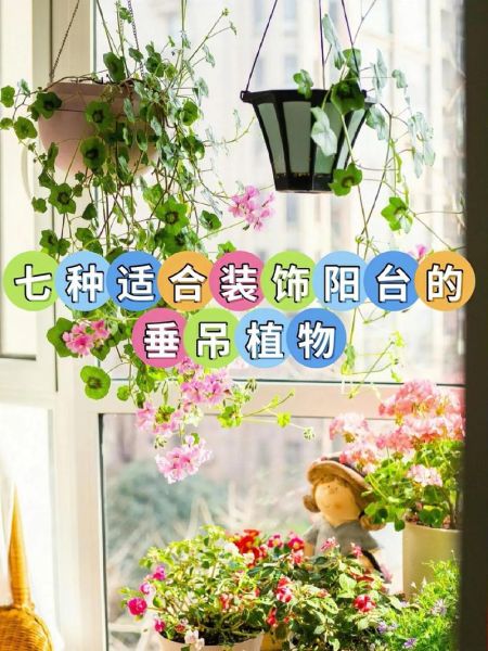 阳台化煞招财植物有哪些_如何摆放才旺财-第3张图片-山城妙识 阳台化煞招财植物有哪些_如何摆放才旺财-第3张图片-山城妙识