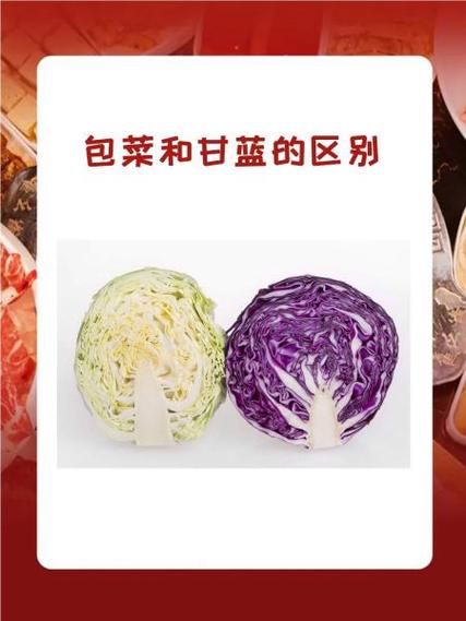 甘蓝和包菜的区别_哪个更有营养-第1张图片-山城妙识 甘蓝和包菜的区别_哪个更有营养-第1张图片-山城妙识