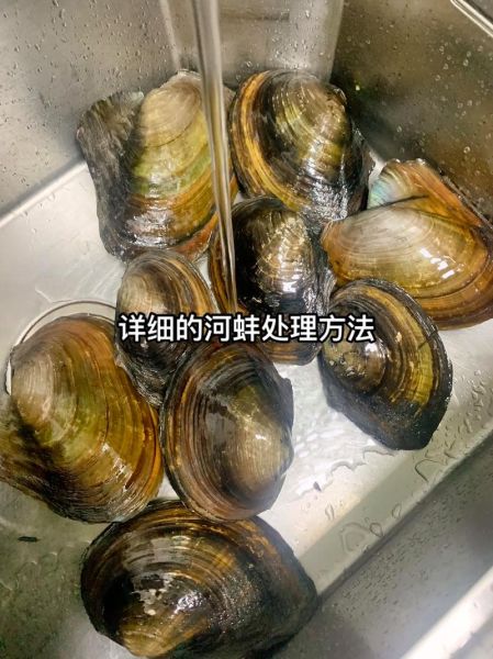 河蚌汤怎么做_河蚌汤需要焯水吗-第2张图片-山城妙识